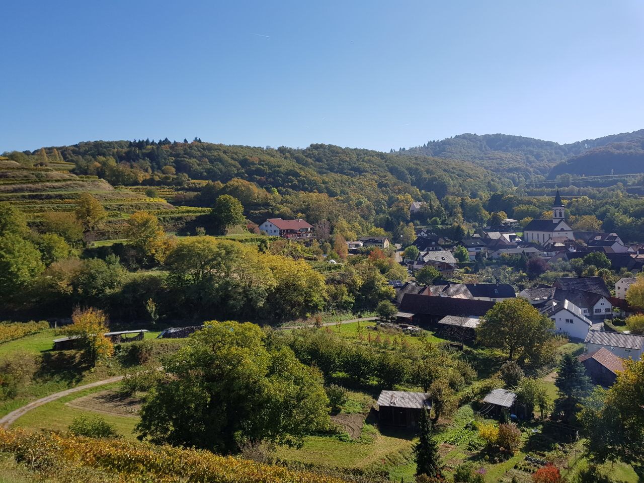 Ausschussausflug nach Bahlingen am Kaiserstuhl - SRG NSW
